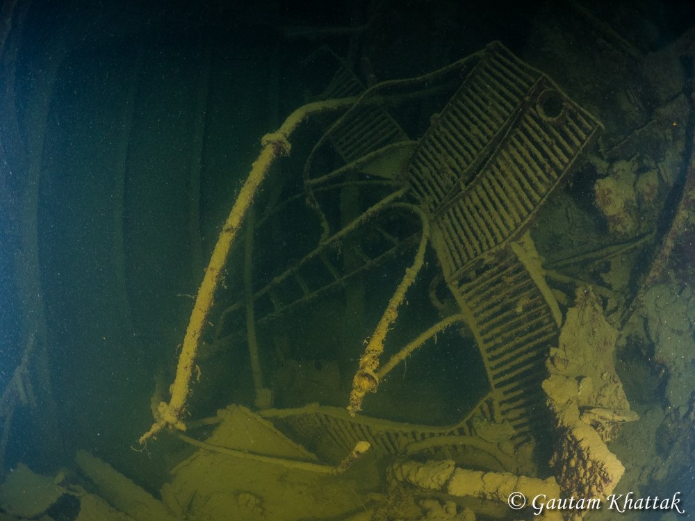 Dive Palau