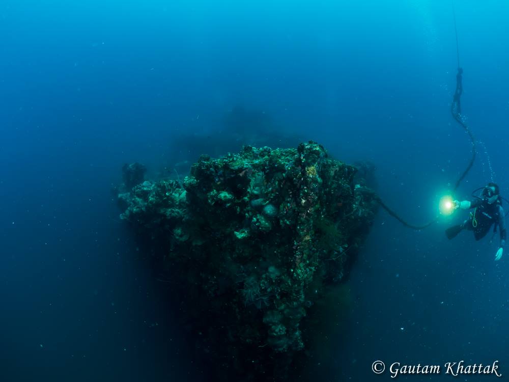 Dive Palau